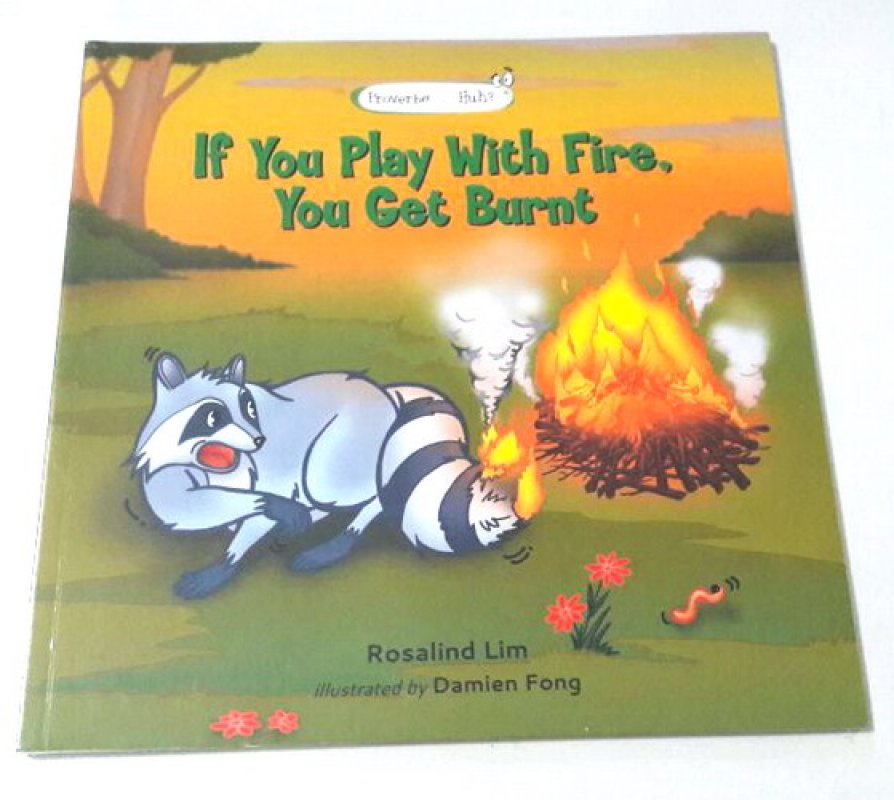 Buku If You Play With Fire, You Get Burnt (english Version) | Bukukita
